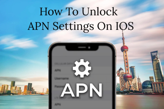 How To Unlock APN Settings On IOS？（Operation process with pictures） – MicroEsim