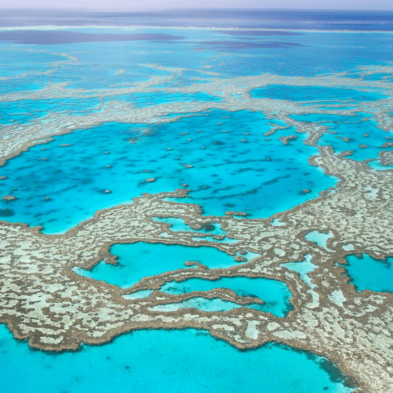 Oceania eSIM – Tagged "Local" – MicroEsim